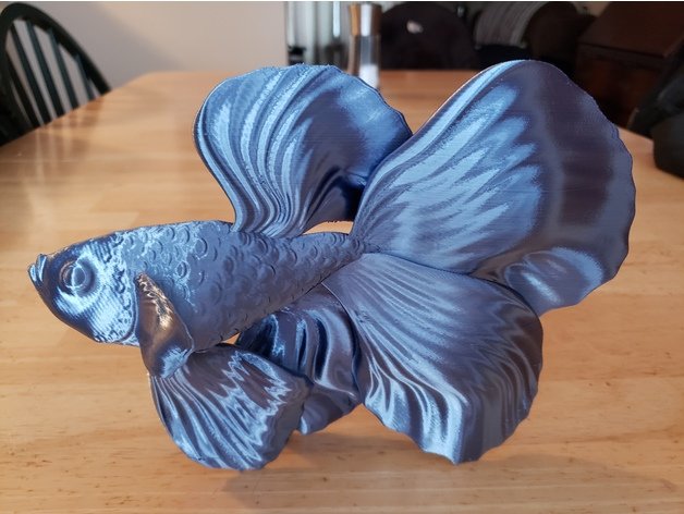 Free STL file Betta Fish 🐠・3D print design to download・Cults