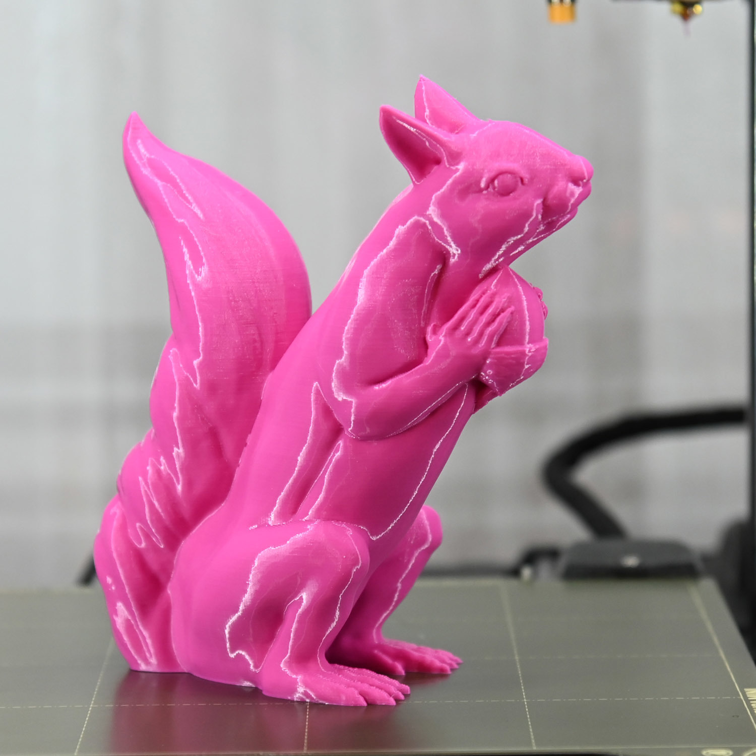 3D-печать работы Squizzle! A No supports Squirrel Sculpt • Сделано на ...
