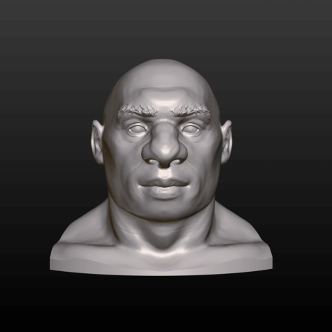 Download OBJ file Man Head • 3D printer design ・ Cults