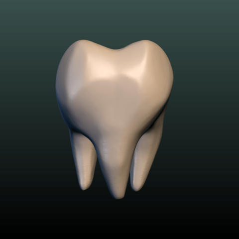Download 3D printing models Tooth ・ Cults