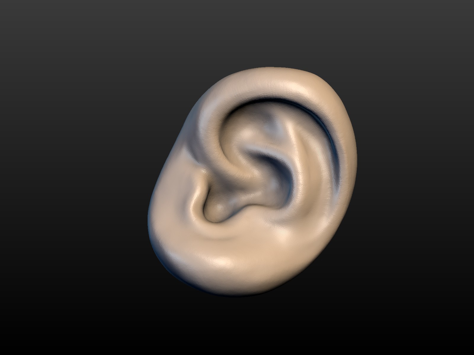 Fichier STL Oreille ronde 🎨・Objet pour impression 3D à télécharger・Cults