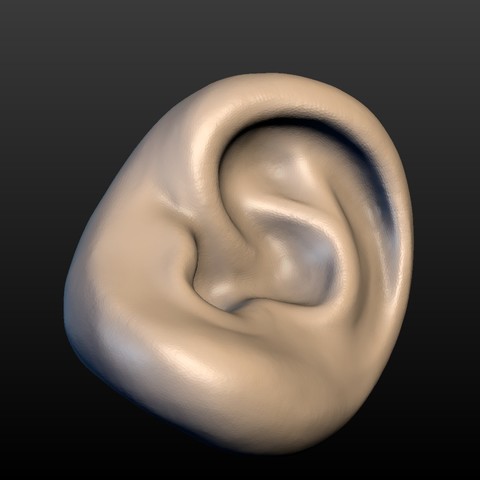 Download 3D print files Round Ear ・ Cults