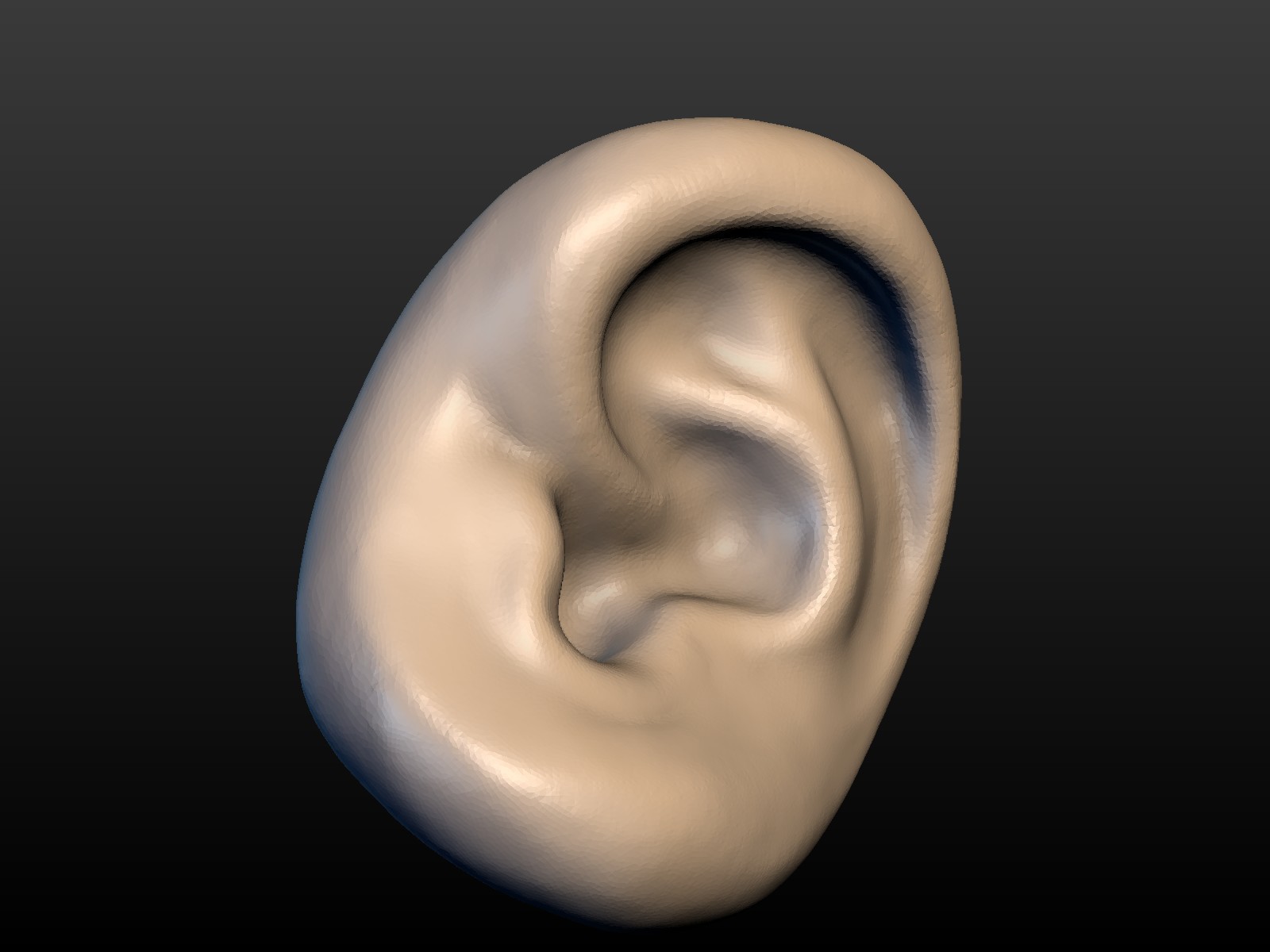Fichier STL Oreille ronde 🎨・Objet pour impression 3D à télécharger・Cults