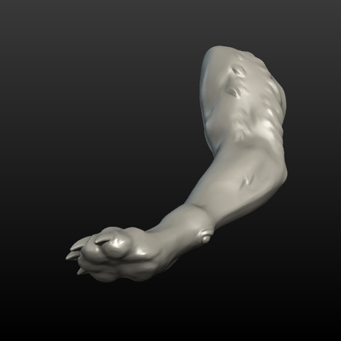 Download 3D printing models Wolf Paw ・ Cults