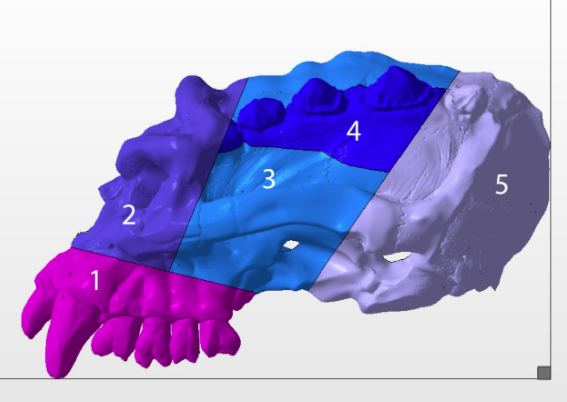 Free STL file Troll Skull 🧌・3D print model to download・Cults