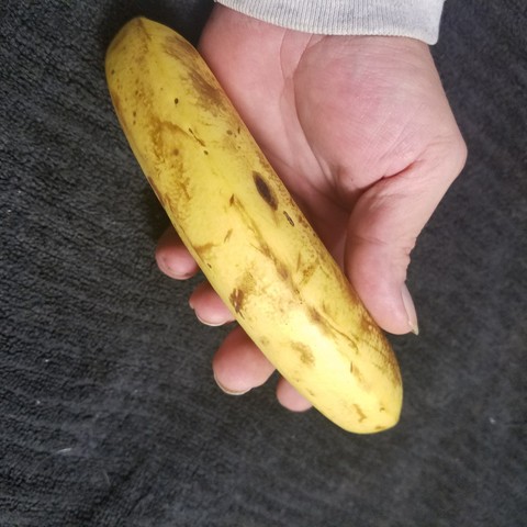 Download free STL file High Resolution Scan of a Banana. • 3D printing ...