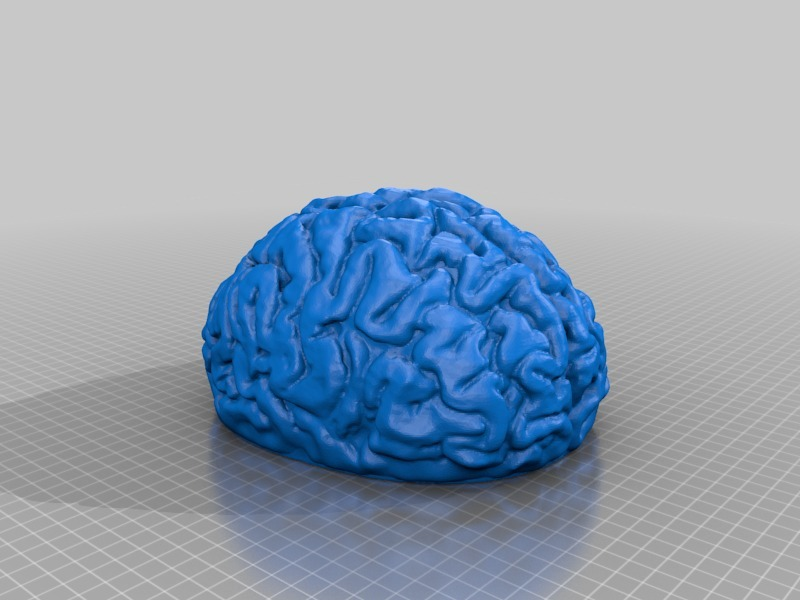 Fichier 3D gratuit Cerveau "humain visible" imprimable・Idée pour ...