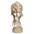 Download free STL file T-Rex Skeleton • 3D printer model ・ Cults