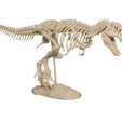 Download free STL file T-Rex Skeleton • 3D printer model ・ Cults