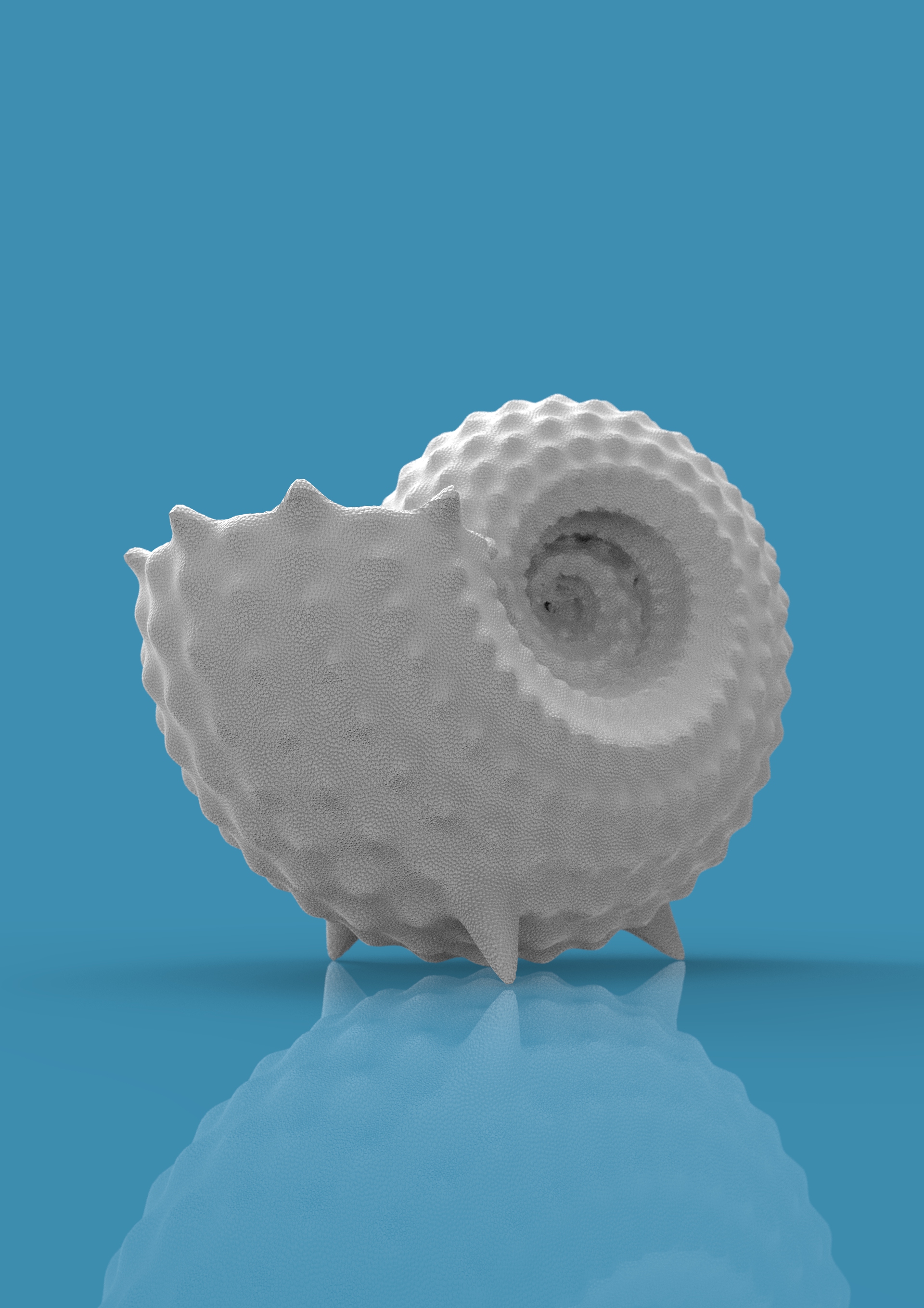 STL file NAUTILUS SHELL - with legs 🐚・Design to download and 3D print・Cults