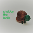 Download free 3D print files Sheldon the Turtle ・ Cults