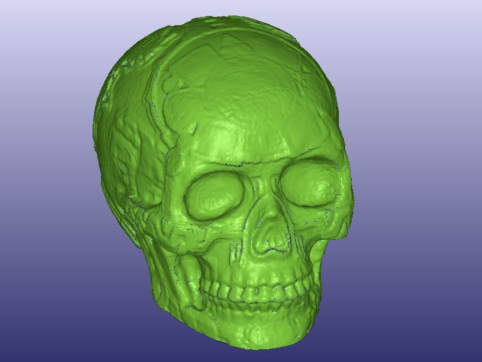 Free STL file Mayan Skull 3D Scan (Hollow)・3D printer model to download ...