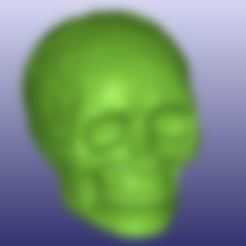 Download free STL file Mayan Skull 3D Scan (Hollow) ・ Cults