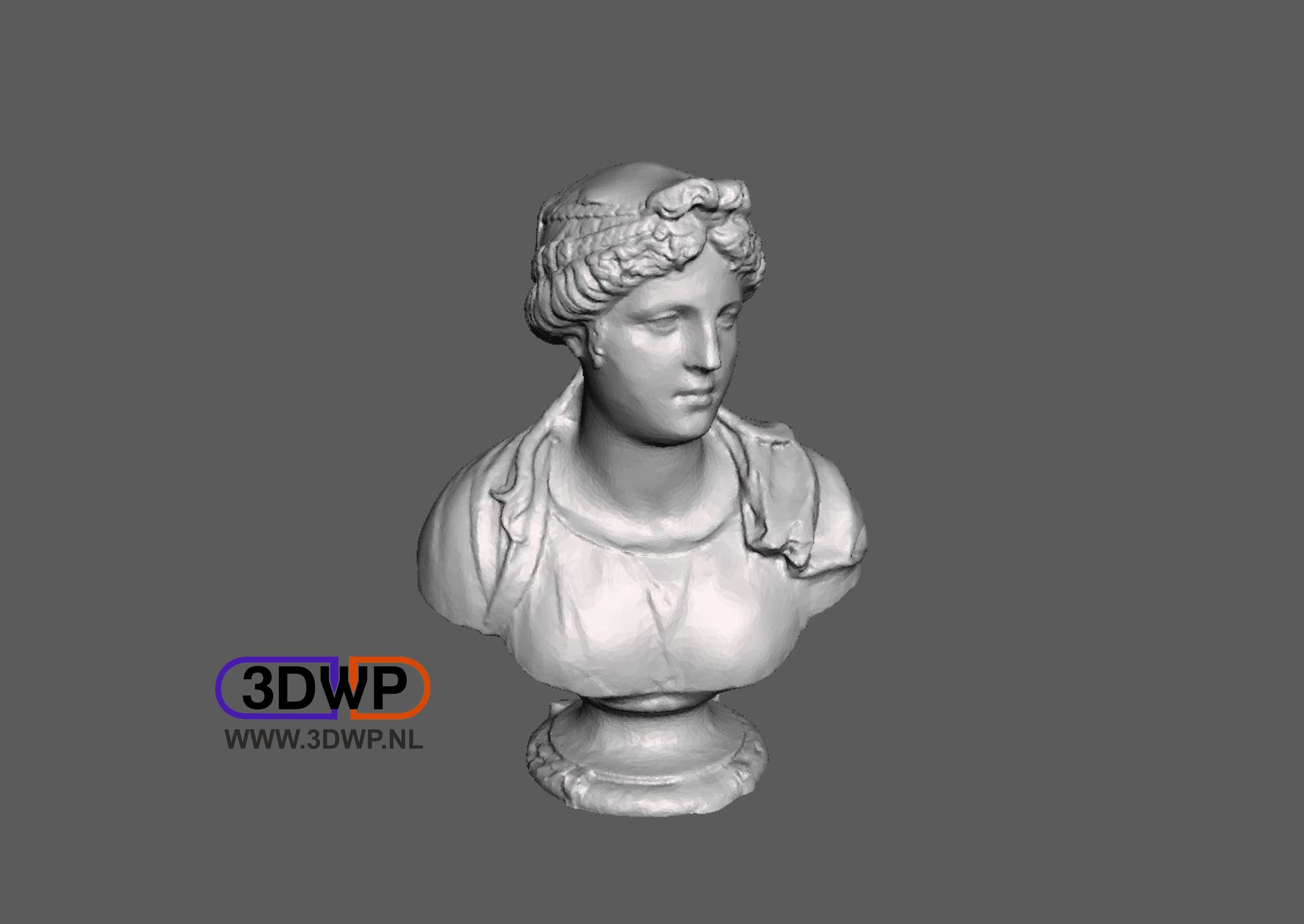 Free STL file Bust Of A Young Woman - Simone Bianco (Statue 3D Scan ...