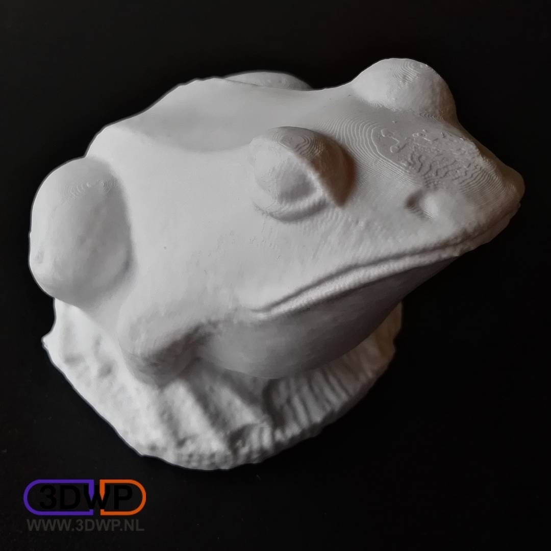 Free STL file Frog Sculpture 3D Scan 🐸・3D printing idea to download・Cults