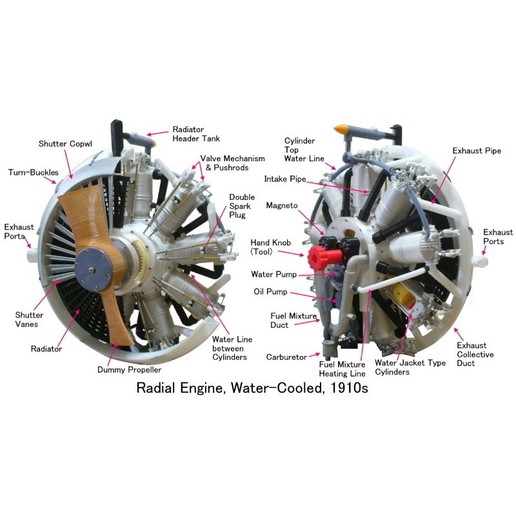 Download STL file Radial Engine, Water-Cooled, 1910s ・ Cults