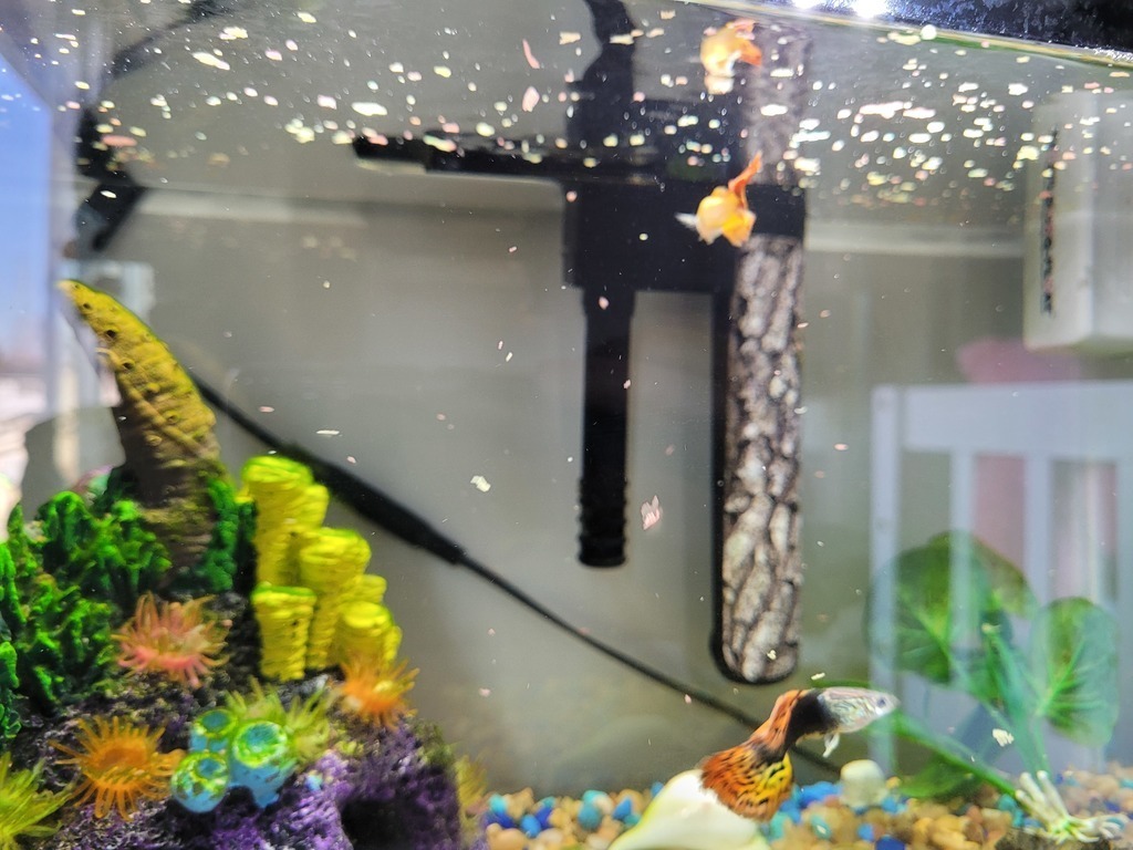 Free 3D file Automatic Fish Feeder for Flake Food 🐠・3D printing design ...