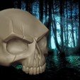 Download free STL files SKULL - SCAR ・ Cults