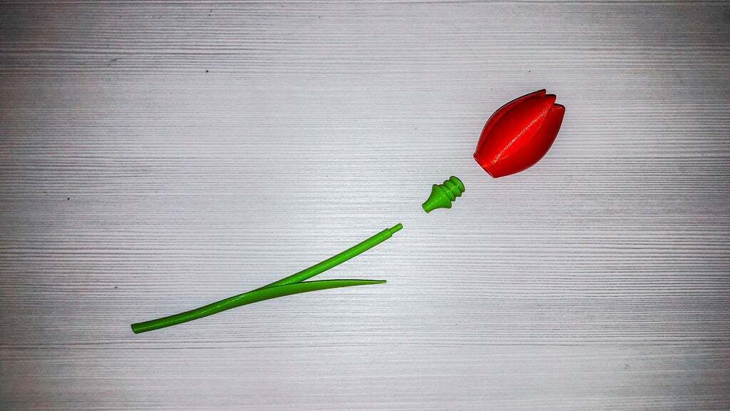 STL file Tulip・Template to download and 3D print・Cults