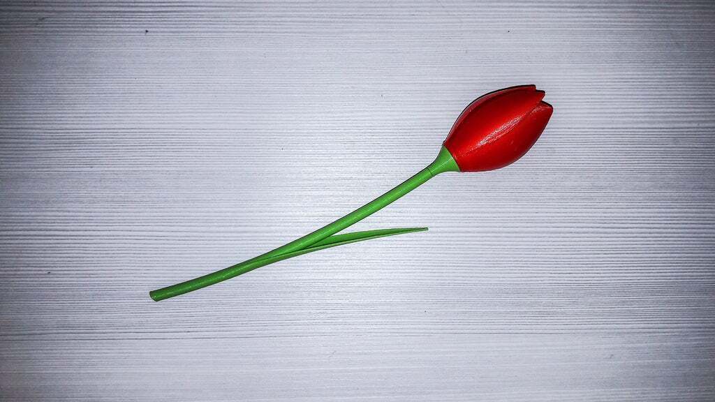 STL file Tulip 🌷・Template to download and 3D print・Cults