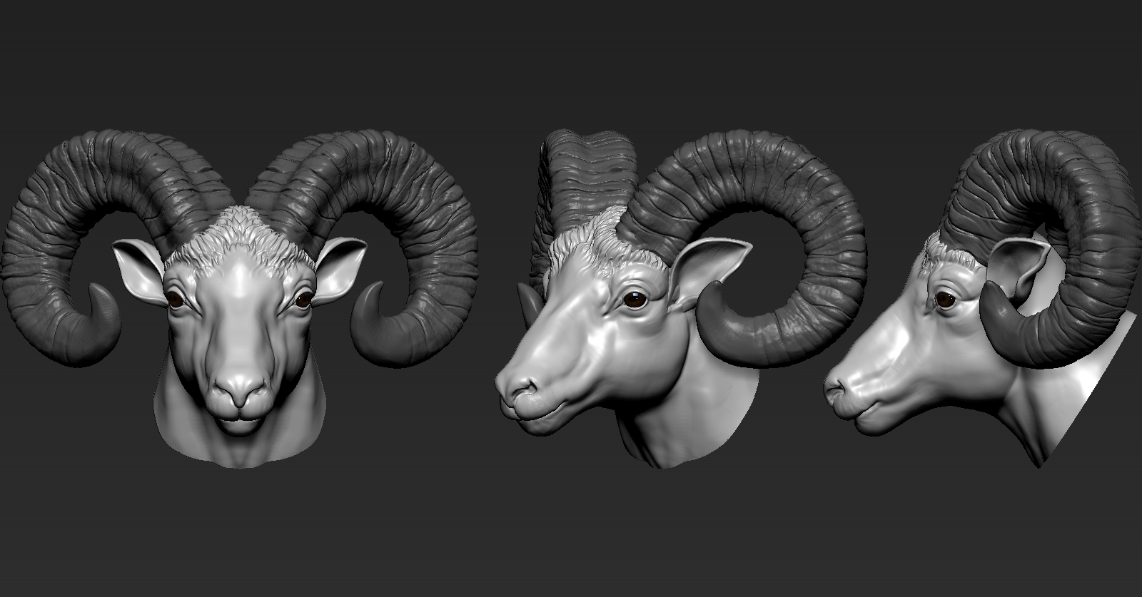 STL file Ram Head・3D printable model to download・Cults