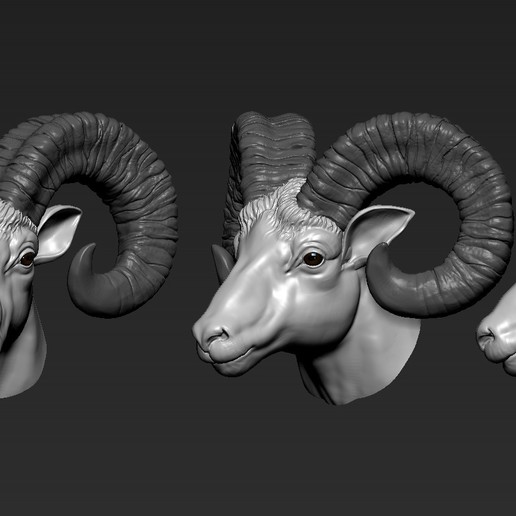 Download 3D printer files Ram Head ・ Cults