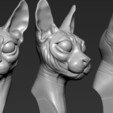 Download 3D model Cat sphynx ・ Cults