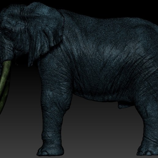 Download OBJ file Elephant African • 3D printable template ・ Cults