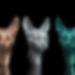 Download 3D model Cat sphynx ・ Cults