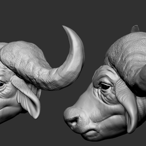 Download STL files Buffalo head ・ Cults