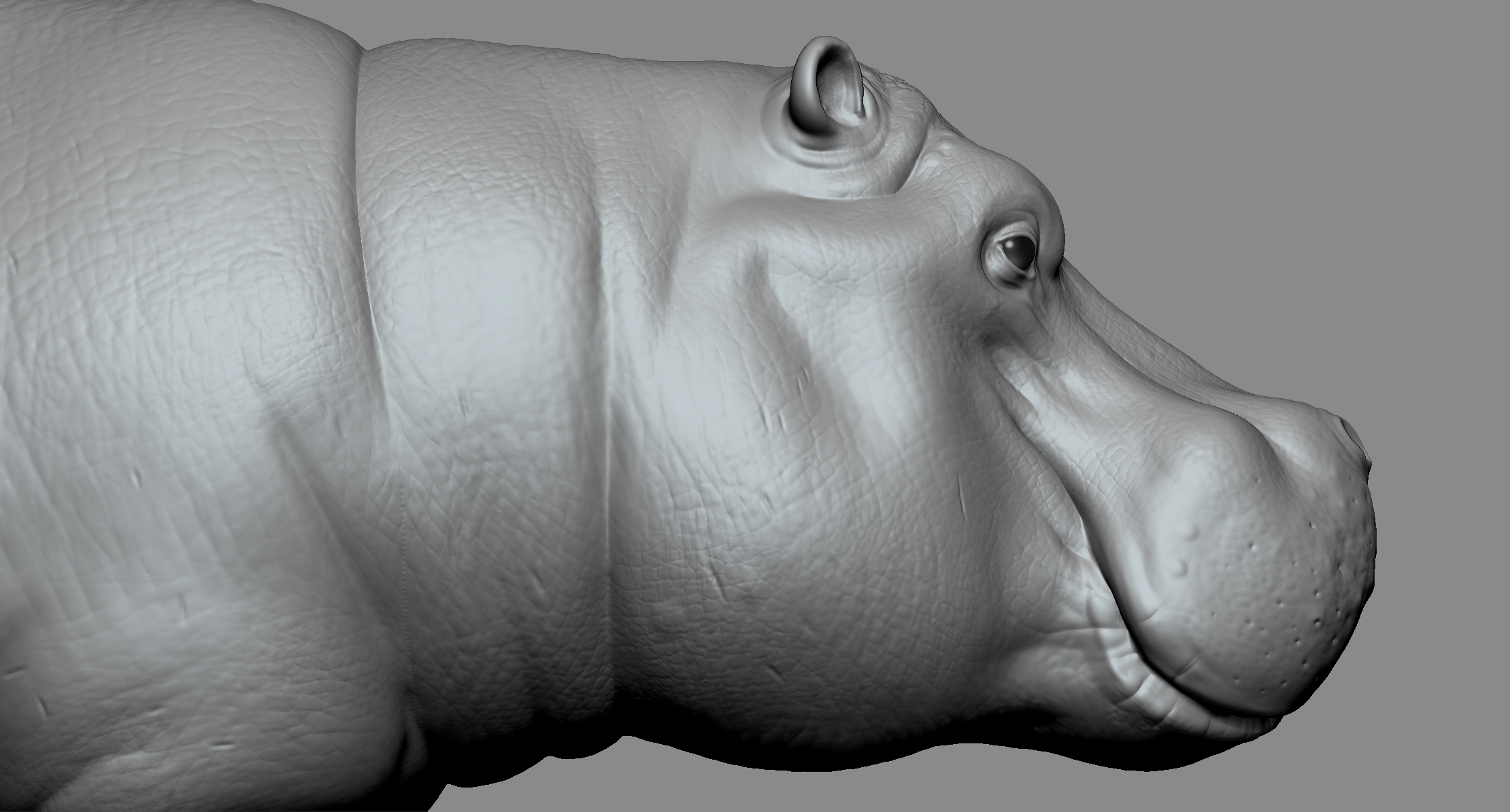 STL file Hippo 🦛・Model to download and 3D print・Cults
