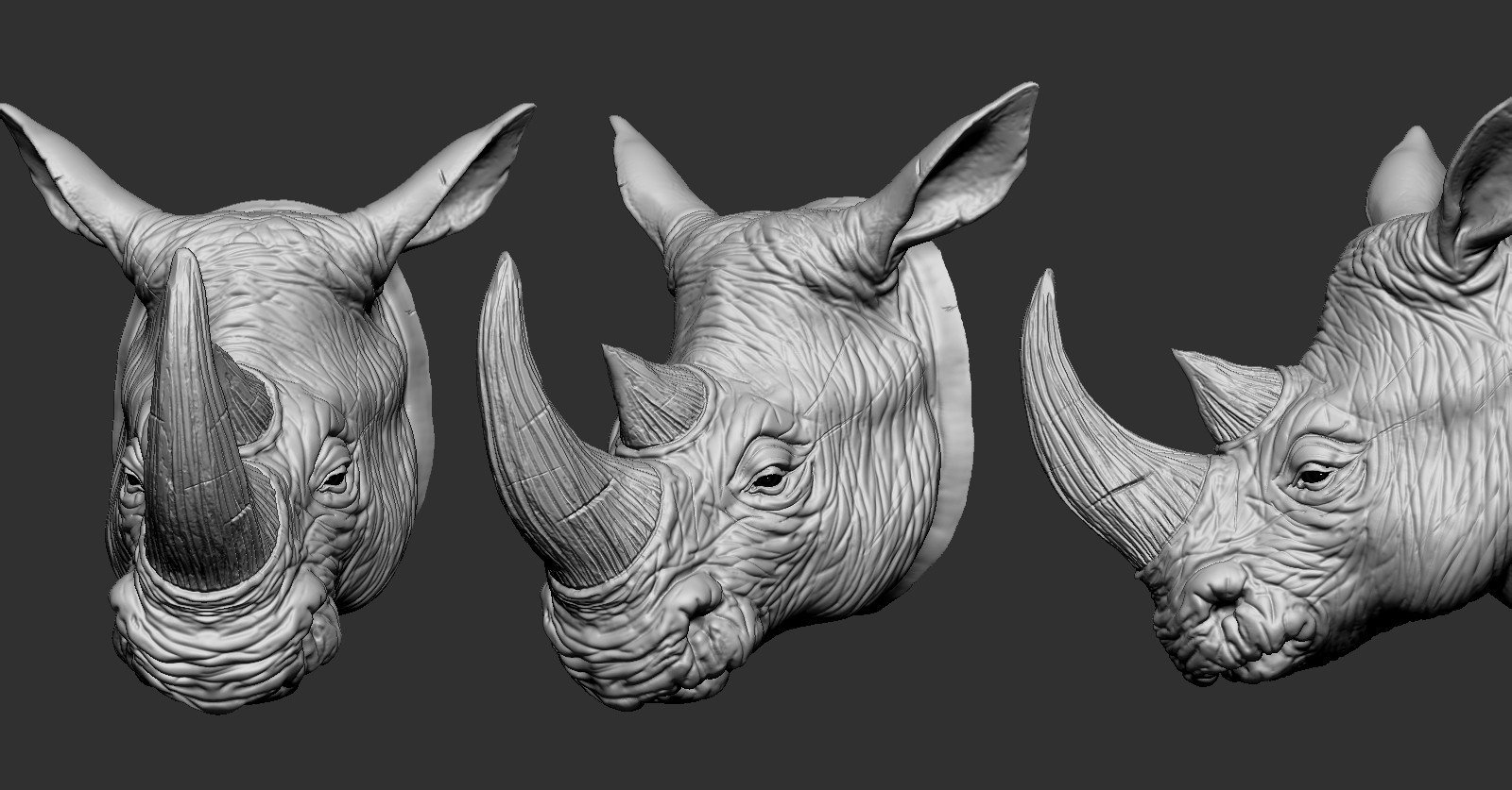 Chrome Rhino Head