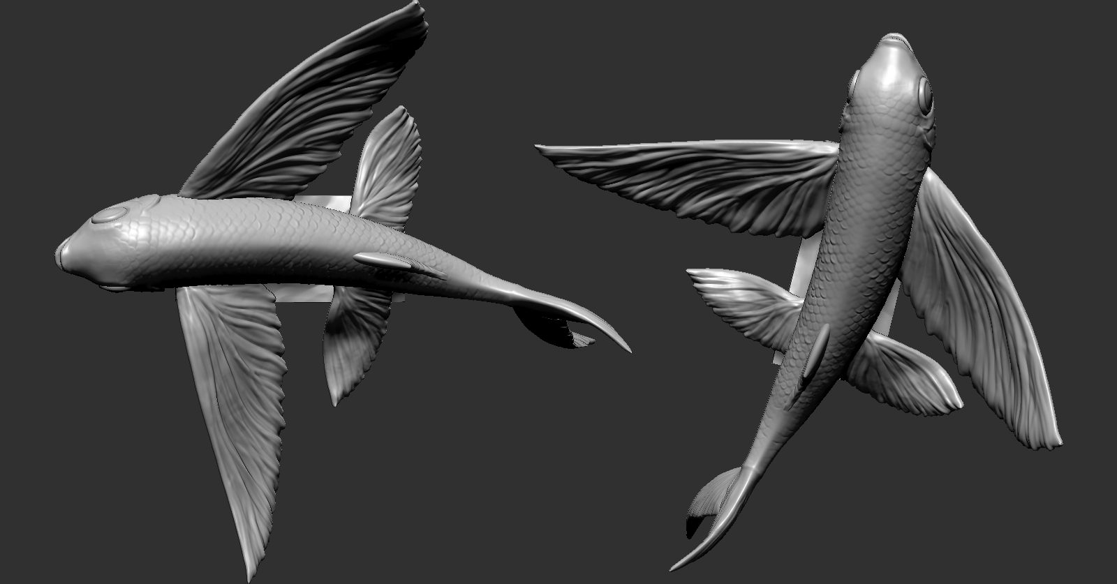 STL file Flying fish 🐠・Model to download and 3D print・Cults