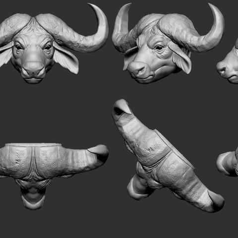 Download STL files Buffalo head ・ Cults