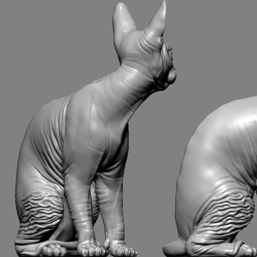 Download 3D printing templates Cat Sphynx ・ Cults