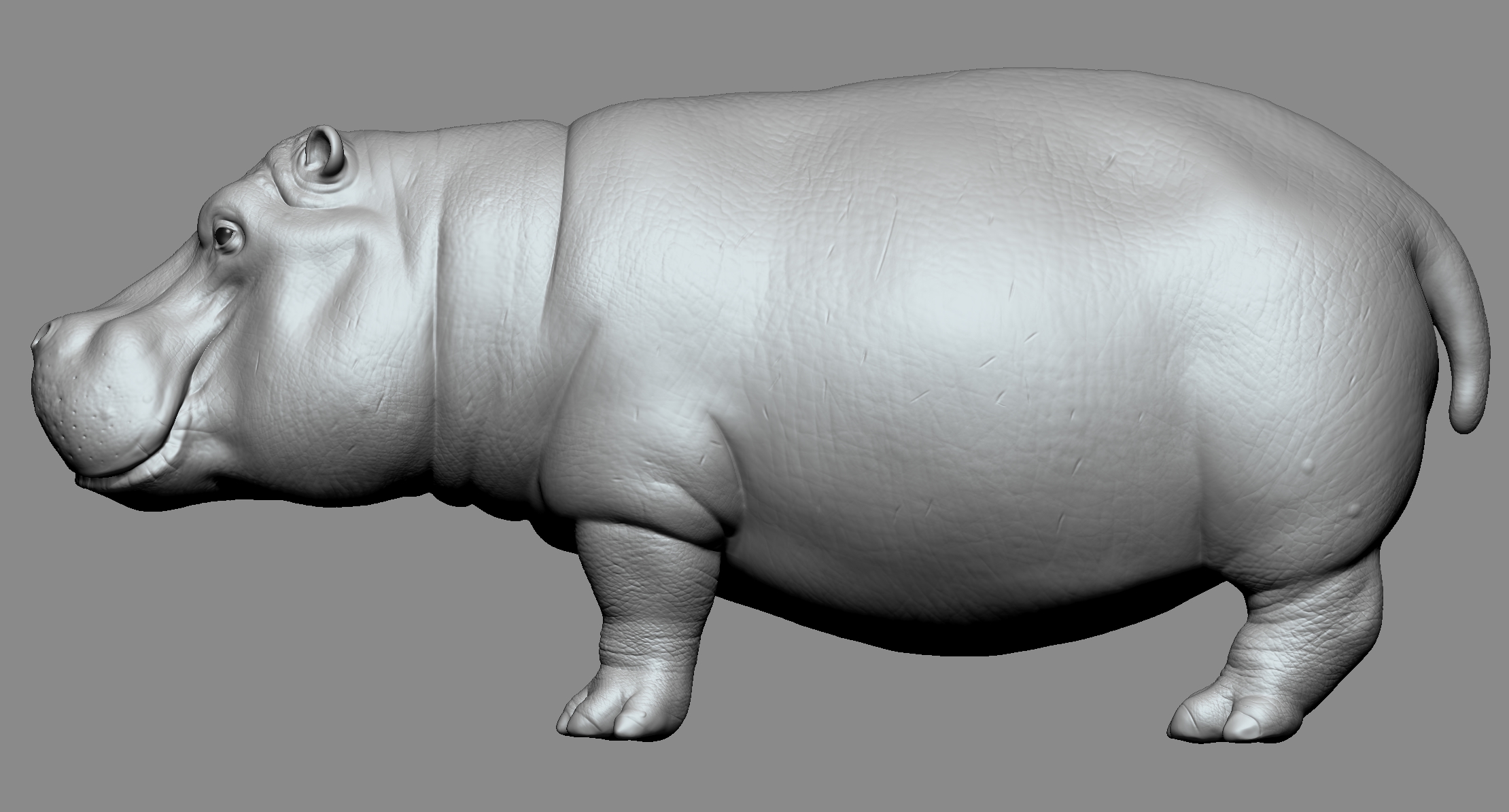 STL file Hippo 🦛・Model to download and 3D print・Cults