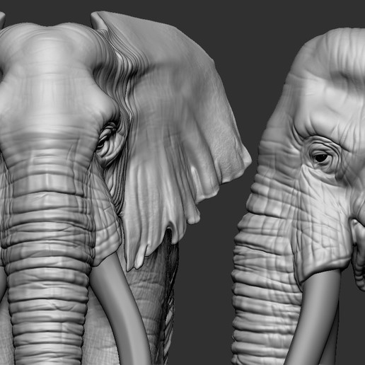 Download OBJ file Elephant African • 3D printable template ・ Cults