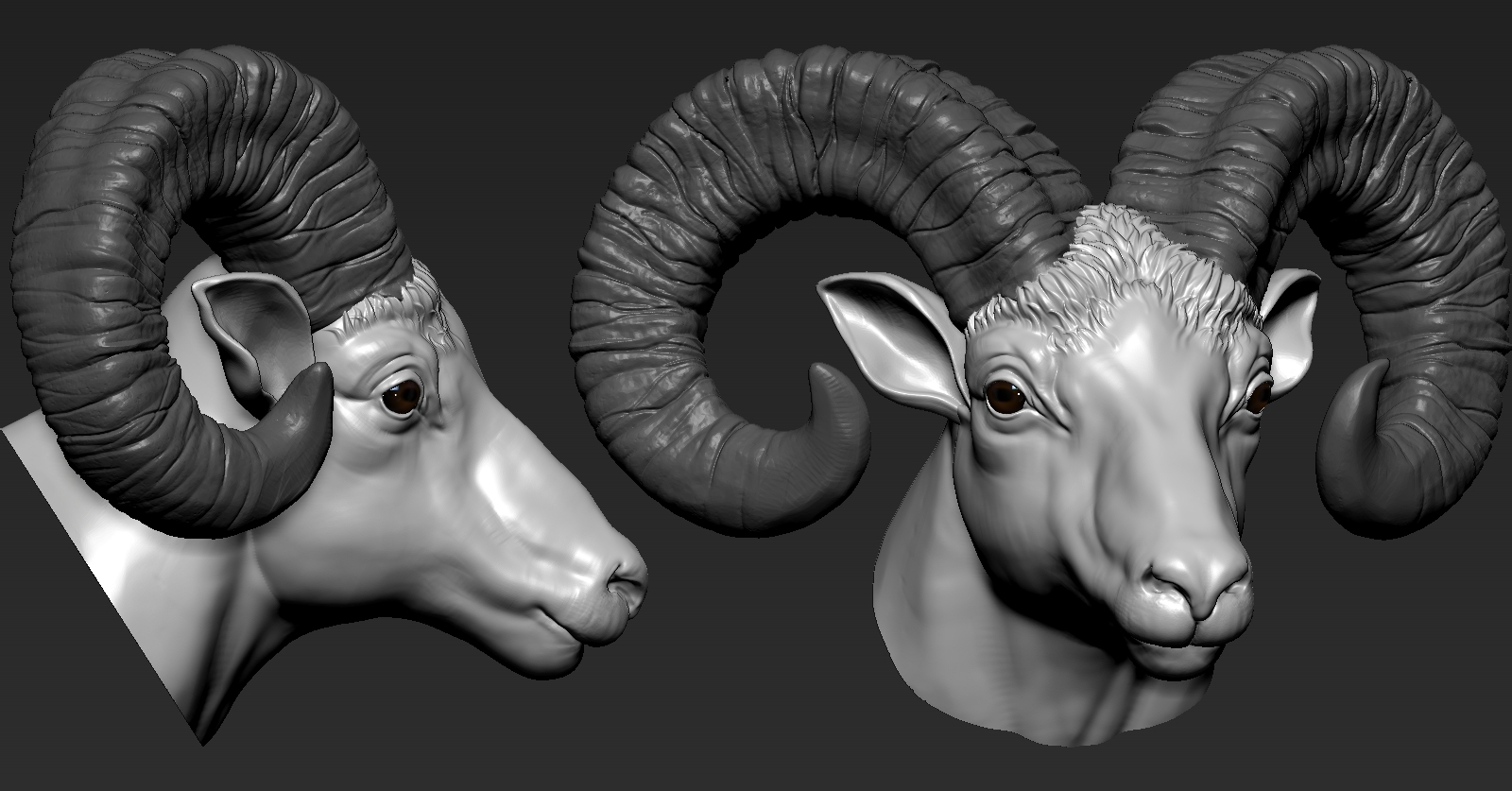 STL file Ram Head・3D printable model to download・Cults