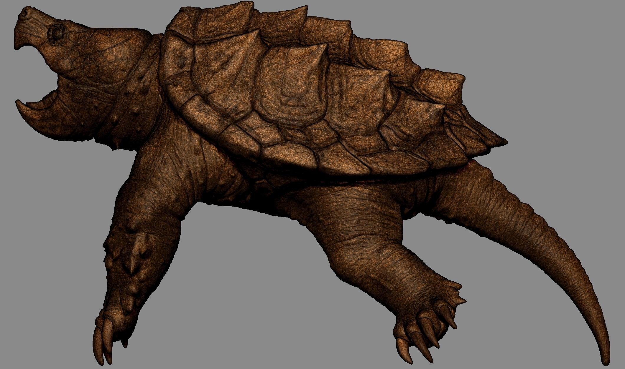 STL file Alligator Snapping Turtle・3D printer model to download・Cults