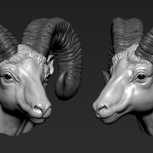 Download 3D printer files Ram Head ・ Cults