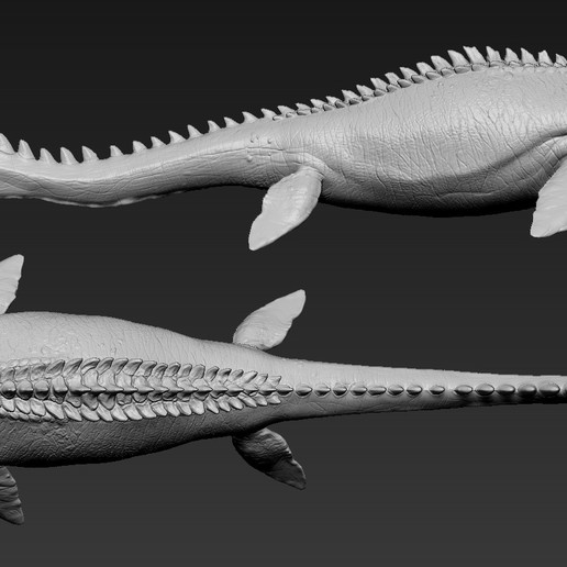 Download 3D printer templates Mosasaurus ・ Cults