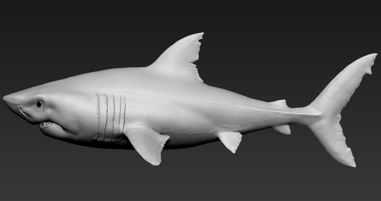 STL file Great white shark・3D printable model to download・Cults