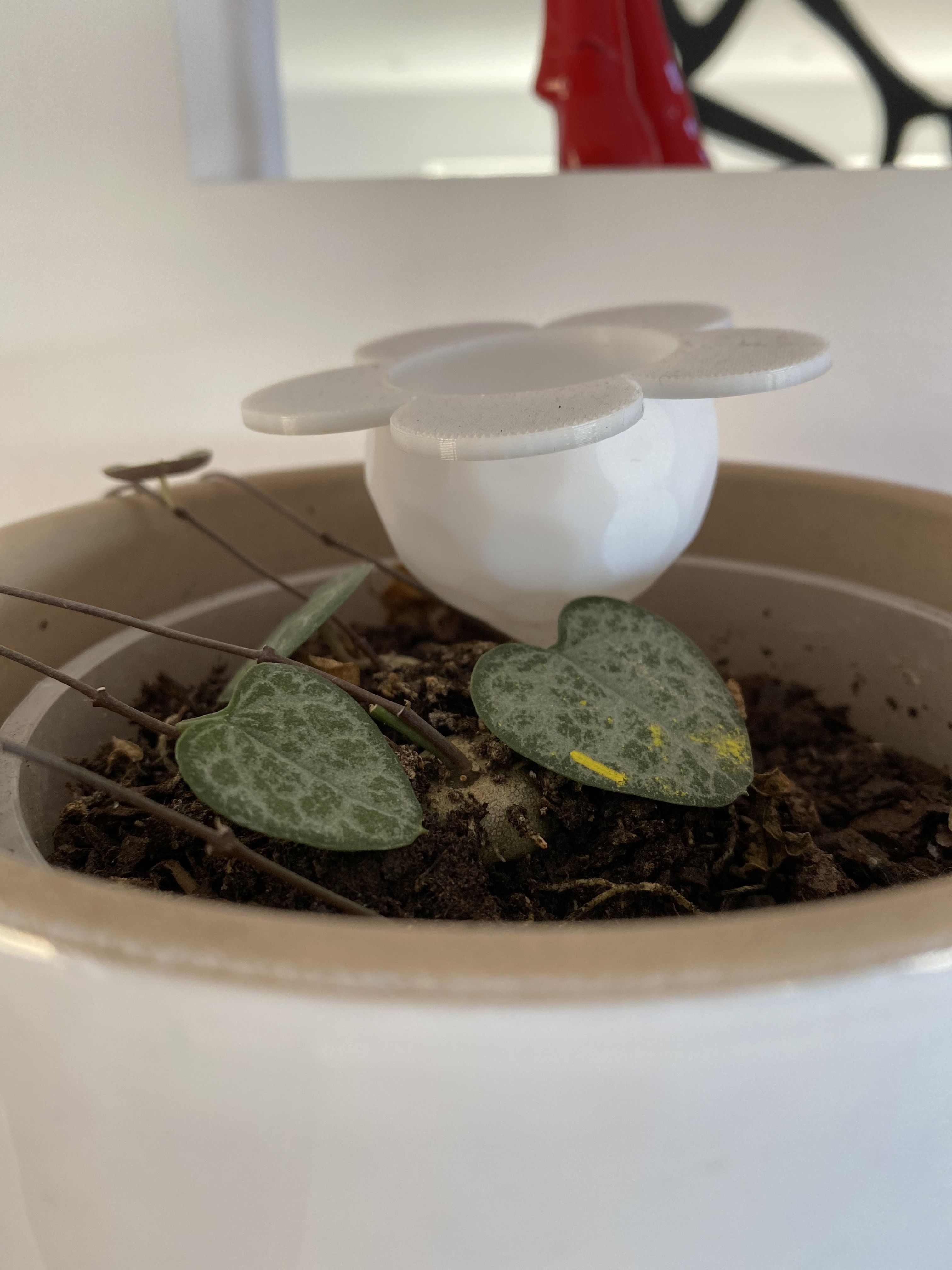 STL file Dosing funnel for indoor plants 💐・3D printing template to ...