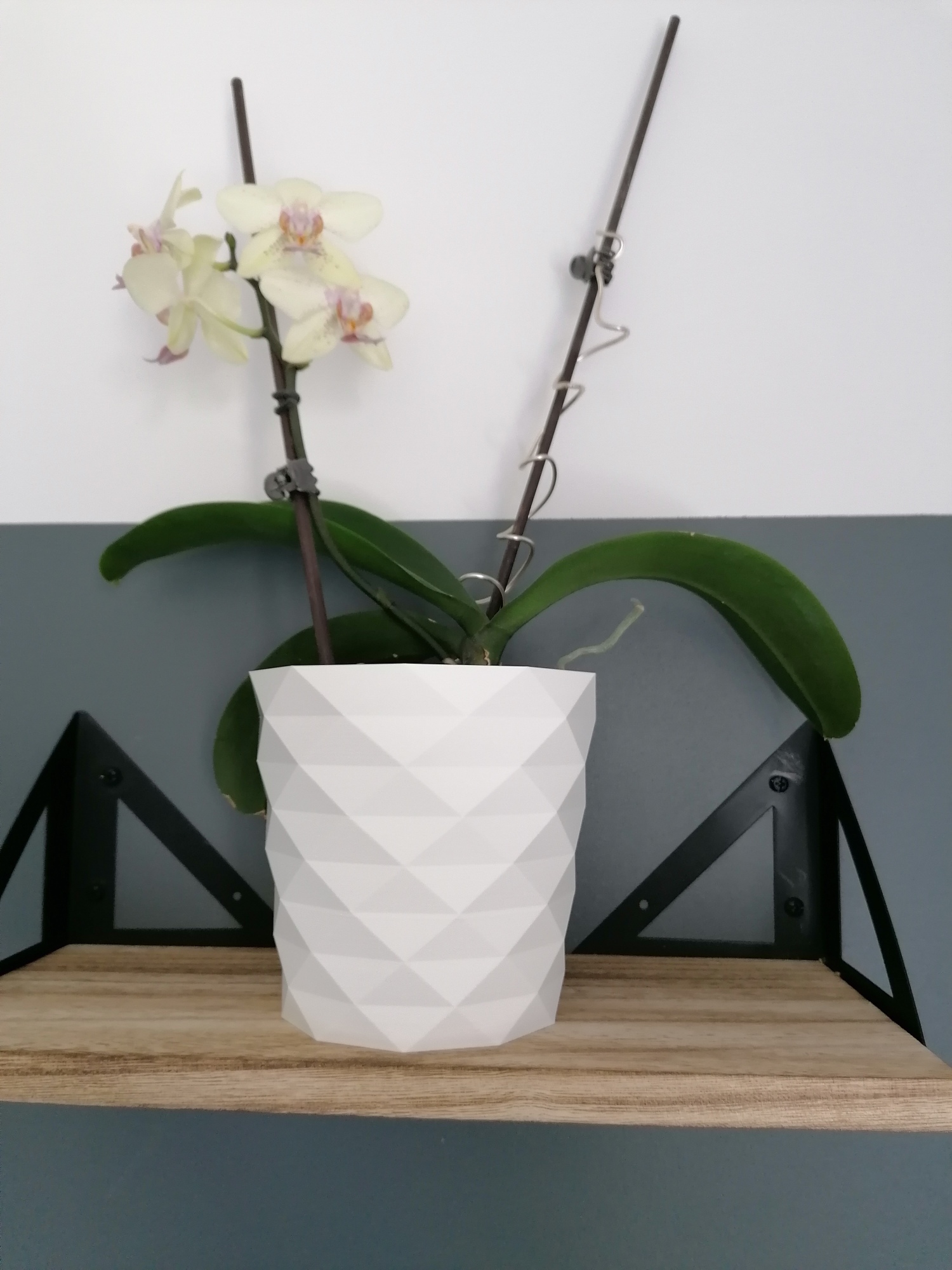 3D printed Parametric Flower Pots • made with A20M・Cults
