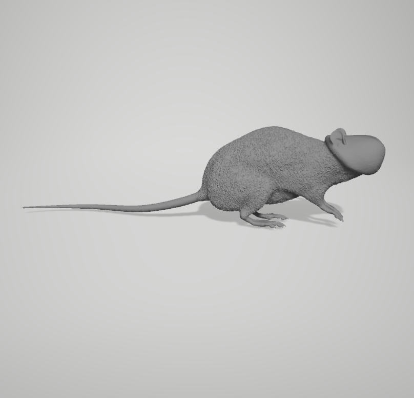 Archivo STL dicky-rat・Objeto de impresión 3D para descargar・Cults