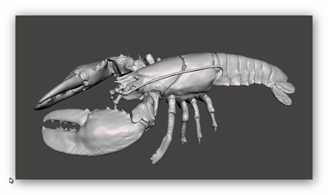 STL file Maine style Lobster・Template to download and 3D print・Cults