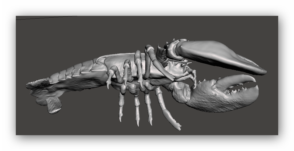 STL file Maine style Lobster・Template to download and 3D print・Cults
