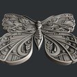 Download 3D printer designs Butterfly ・ Cults