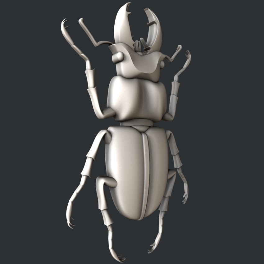 Download STL file 3d models bug • 3D printing object ・ Cults
