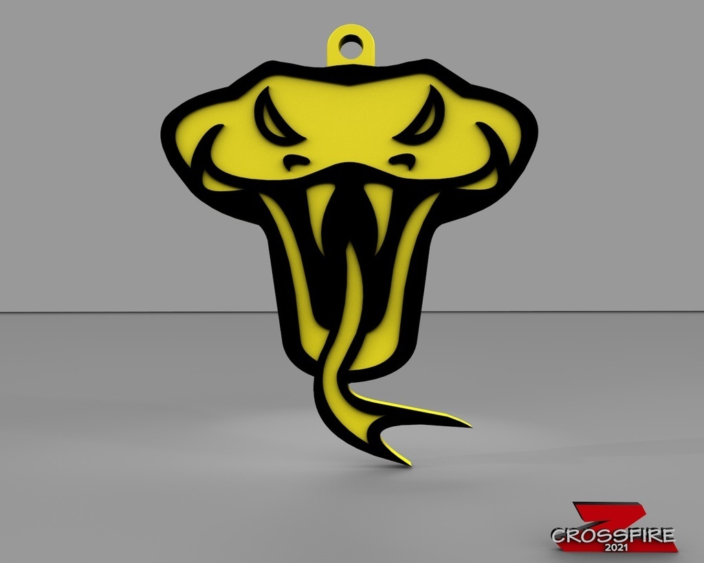 3D file Anycubic VYPER custom logo 🔧・3D print design to download・Cults